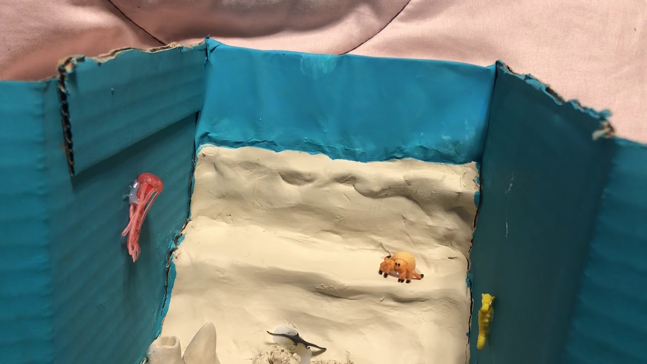 Ocean Floor Model - YouTube