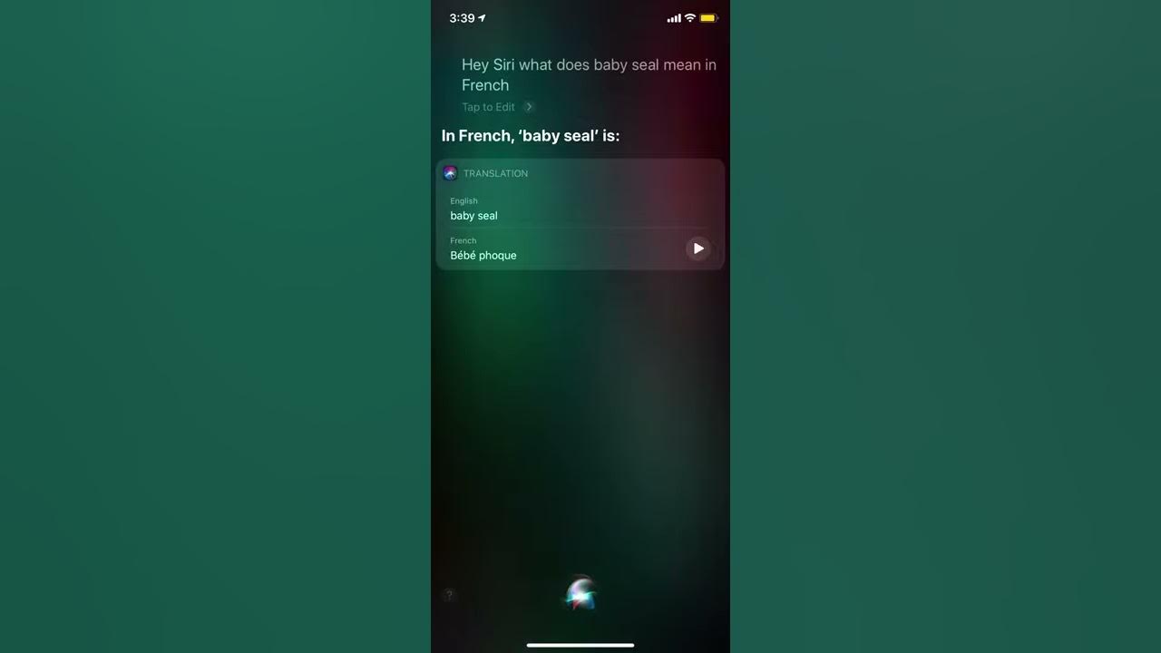 Hey Siri What Does Baby Seal Mean In French YouTube hey-siri-what-does-baby-seal-mean-in-french-youtube