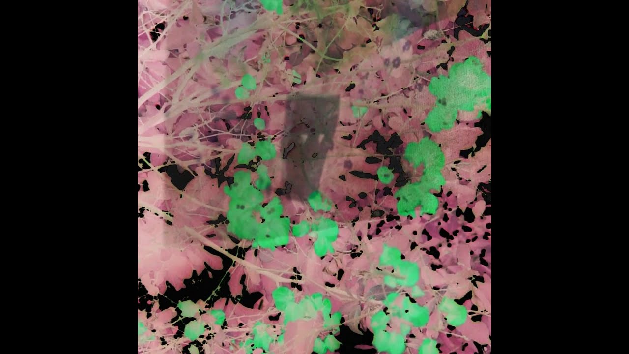 Hinshi & CHOISIES - Crying in Your Sweater (Official Video) - YouTube