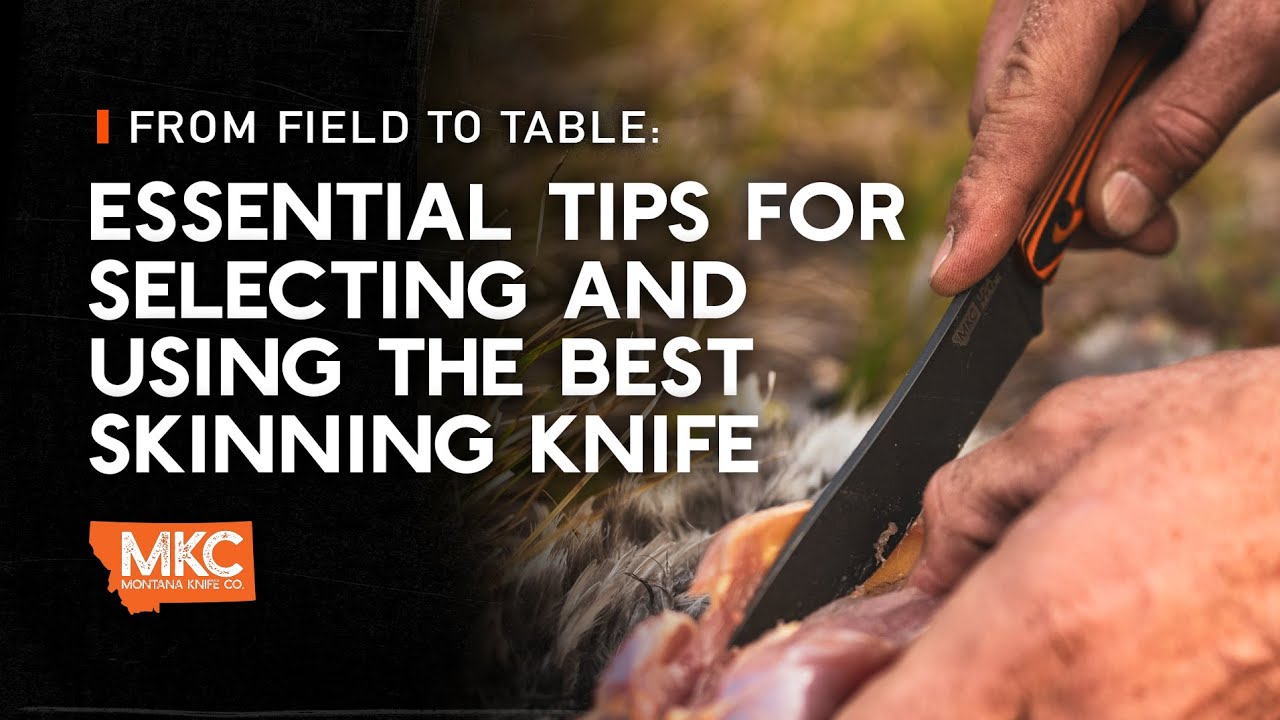 From Field to Table: Essential Tips for Selecting and Using the Best ...