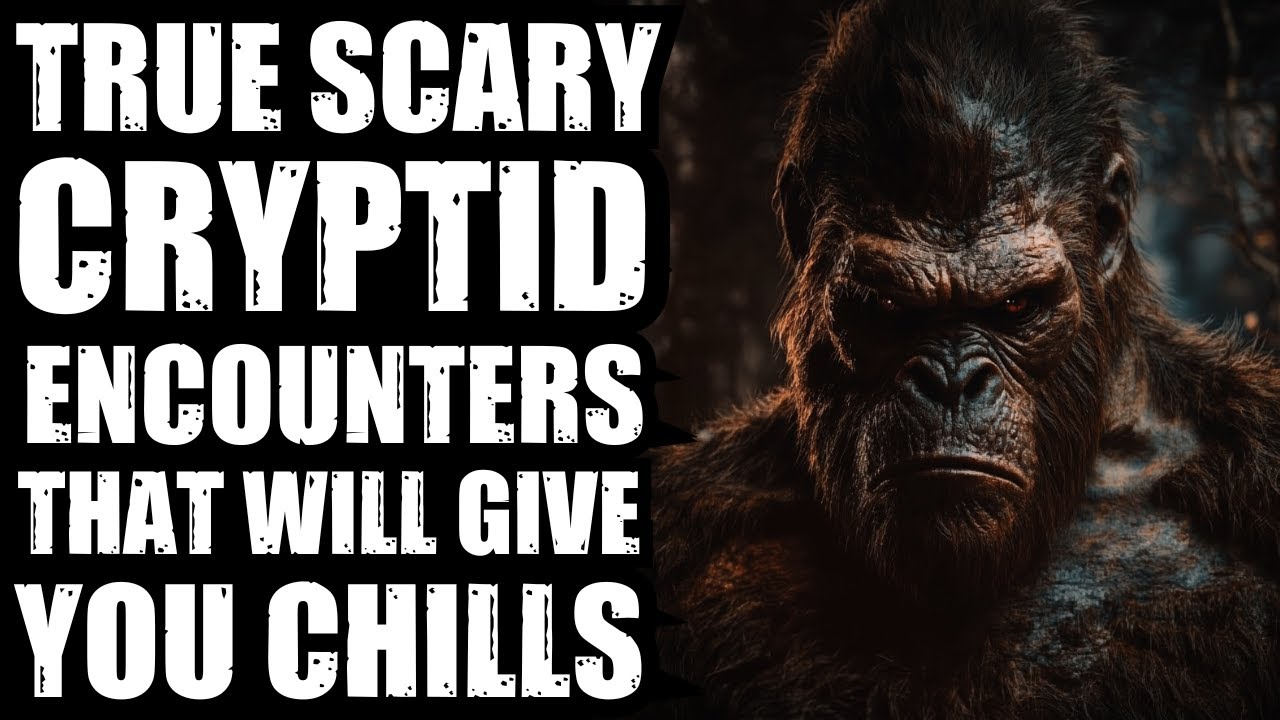 CLASSIFIED CRYPTID ENCOUNTERS THAT WILL SCARE THE FCK OUT OF YOU - YouTube