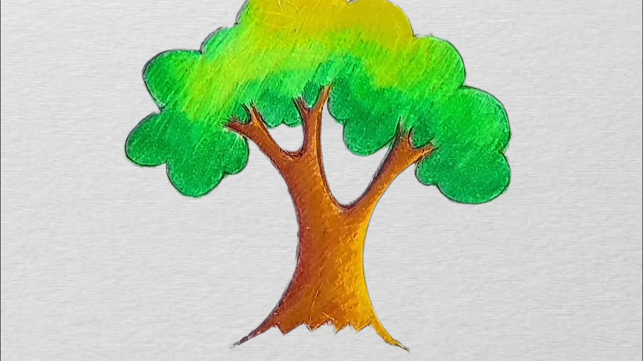 🎨🖍️ Tree Drawing | How to draw a tree with colour easy step by step ...