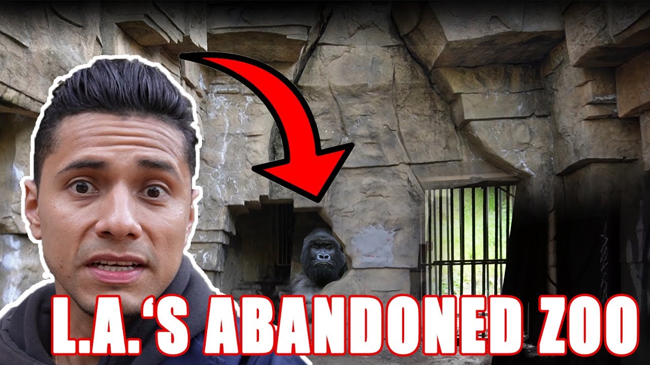 Exploring ABANDONED Zoo| I was CAGED like an ANIMAL!! - YouTube
