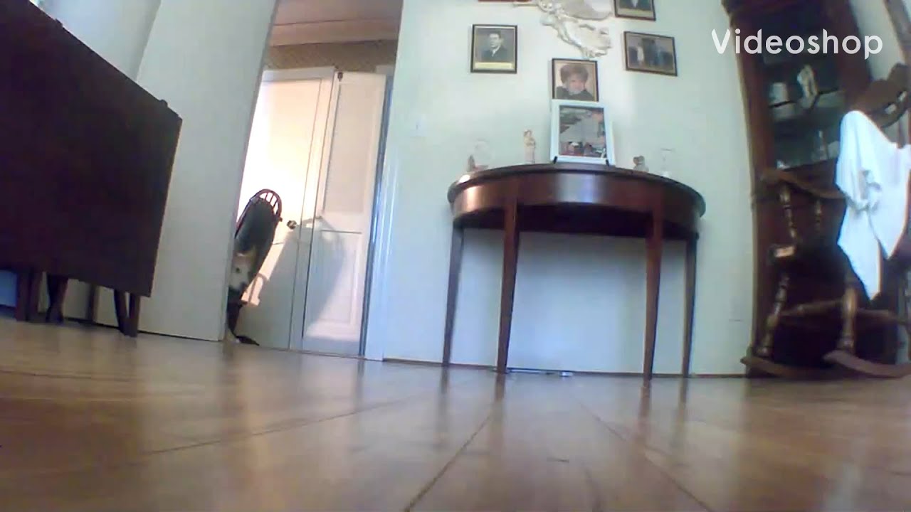 My Sneaky Cam In The Dinning Room 6 - YouTube