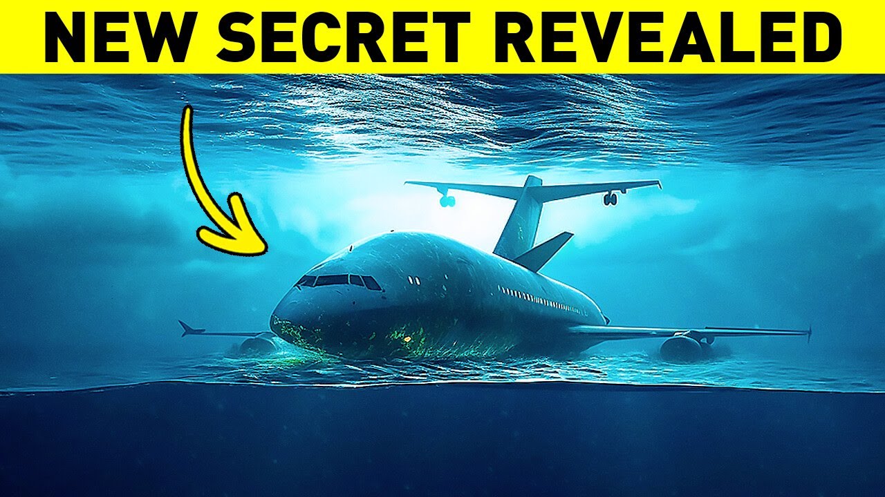 Bermuda's Secret is Out! Scientists Make a Groundbreaking Discovery ...