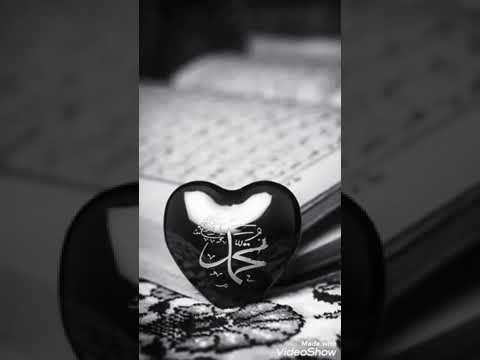 muhteşem ses ucun kuşlar medineye selam götürün Nebiye