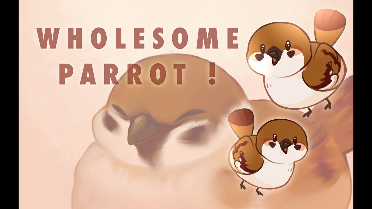WHOLESOME PARROT DANCING | animation meme - YouTube