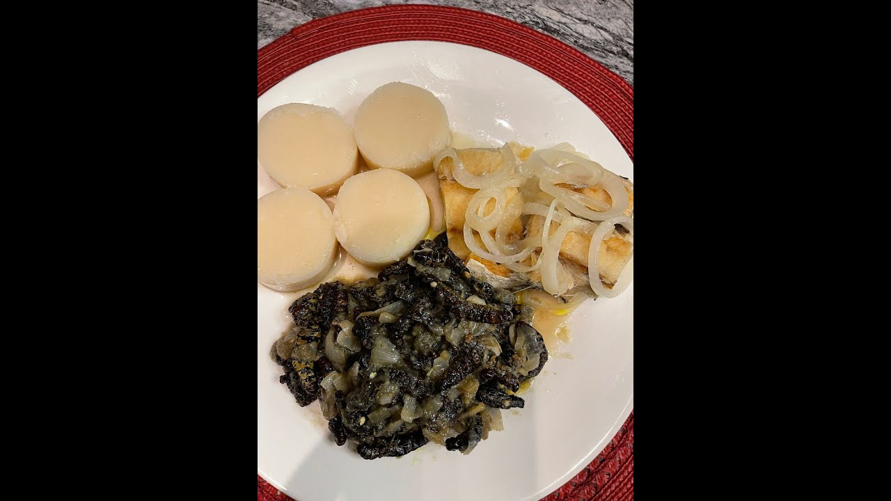 como fazer catato/ how to make caterpillars(pratos da banda🇦🇴) - YouTube