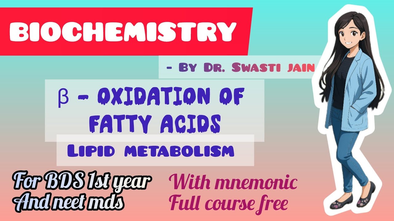 Beta-Oxidation Of Fatty Acids for neet PG|Lipid Metabolism|Biochemistry ...