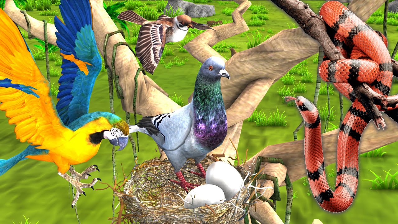 जादुई पेड़ अँधा कबूतर के अंडे Magical Tree Blind Pigeon Eggs Jadui Ped ...