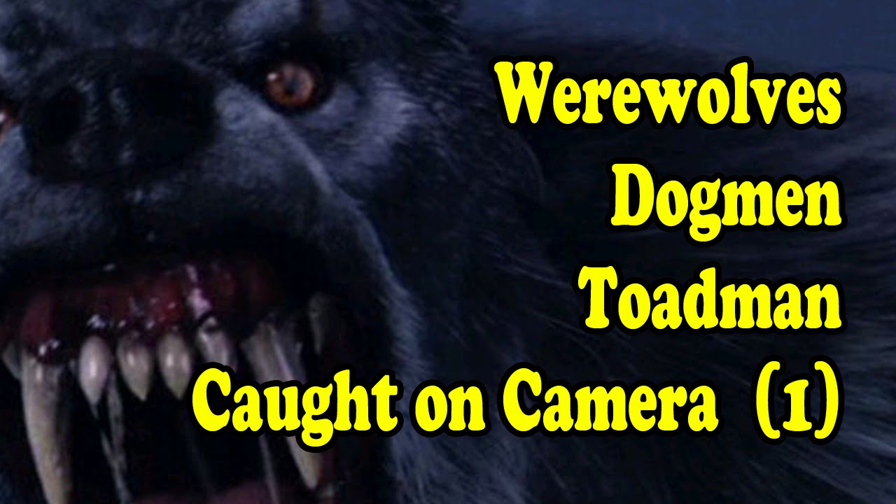 Real Werewolves Dogmen Strange Creatures Caught On Video (SCARY) NEW ...