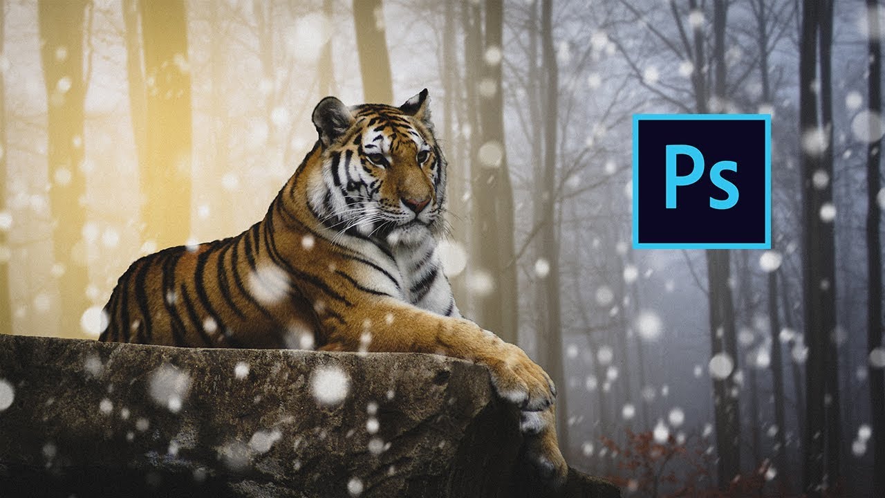 The Siberian Tiger | Photoshop CC 2018 | Photo Manipulation Tutorial ...