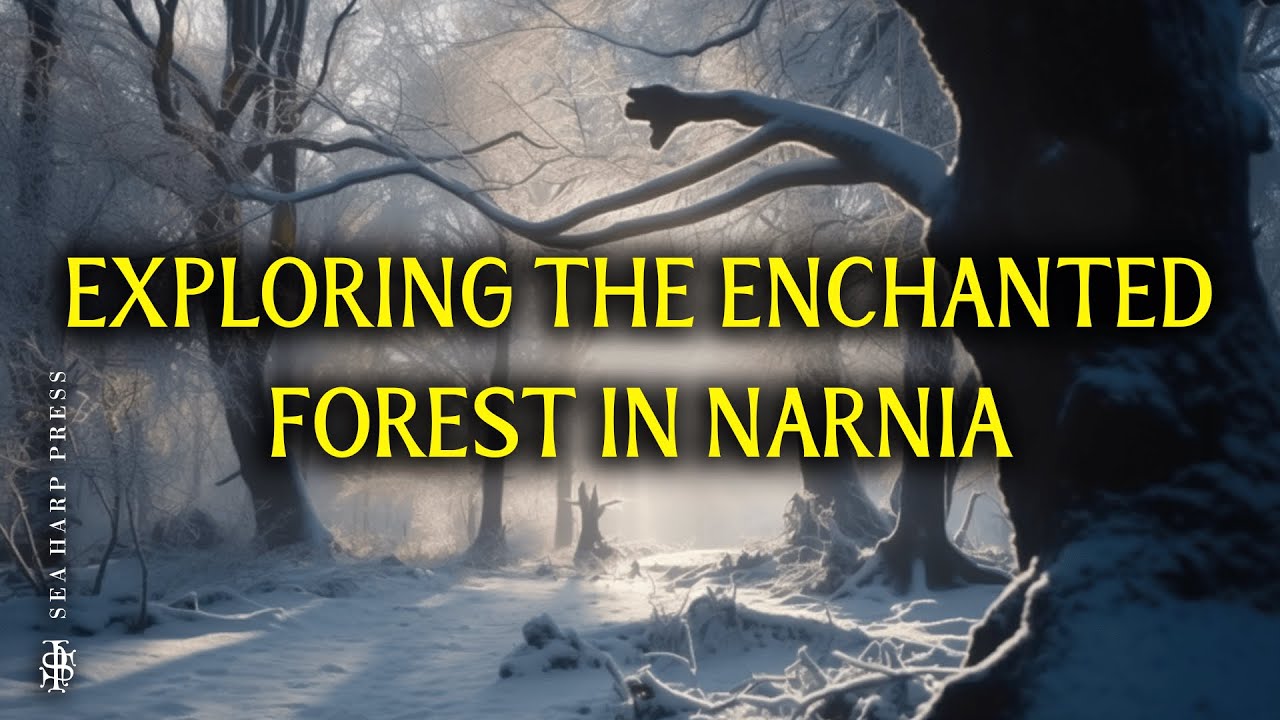 Exploring the Enchanted Forest In Narnia - YouTube