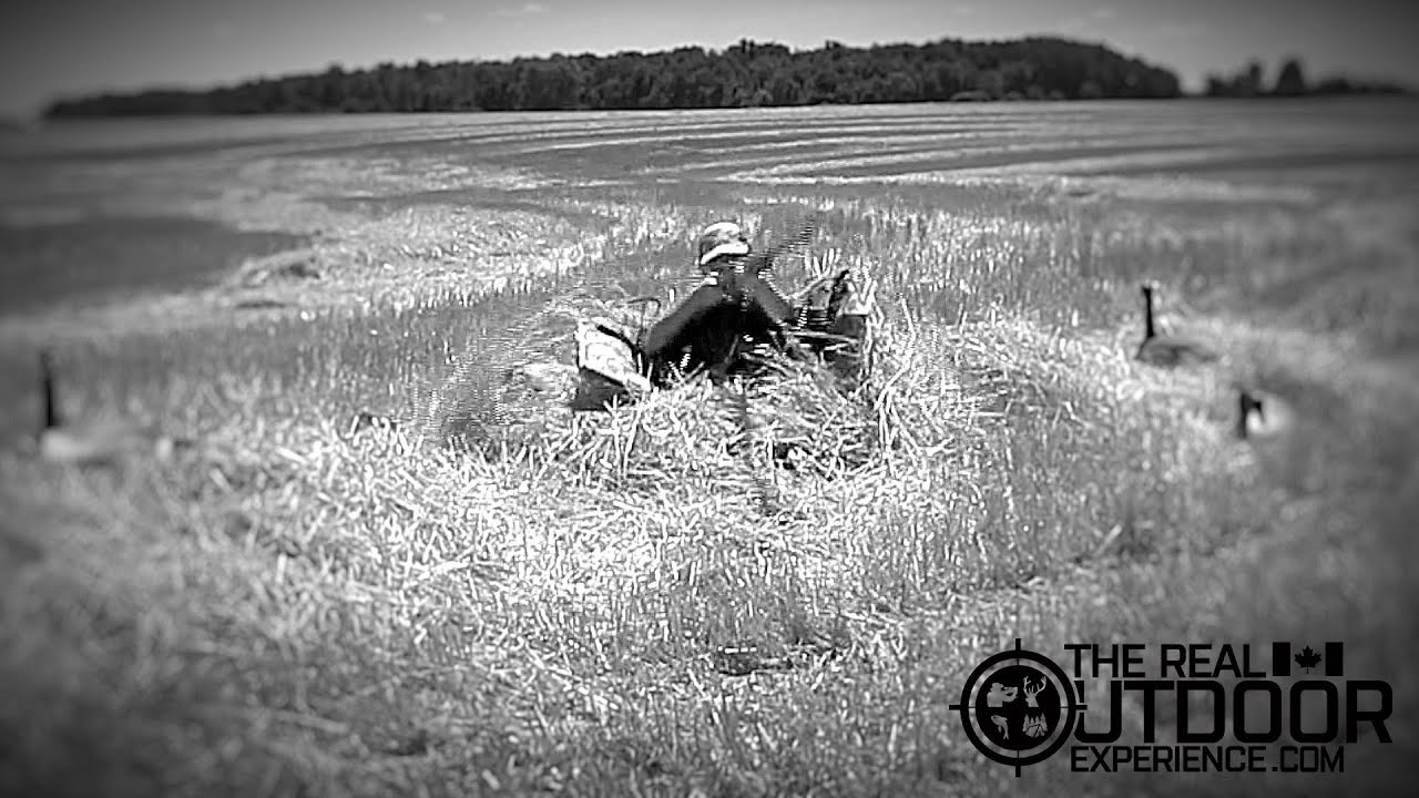Blinds & Camo for Goose Hunting - Tips for Beginners - Ep. 4 - YouTube