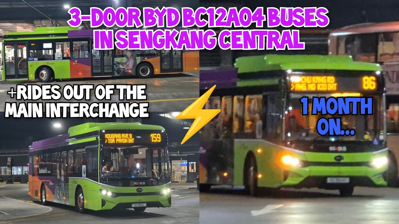 LTA 3-Door BYD BC12A04 ⚡ Buses In Sengkang Central + Rides Out Of ...