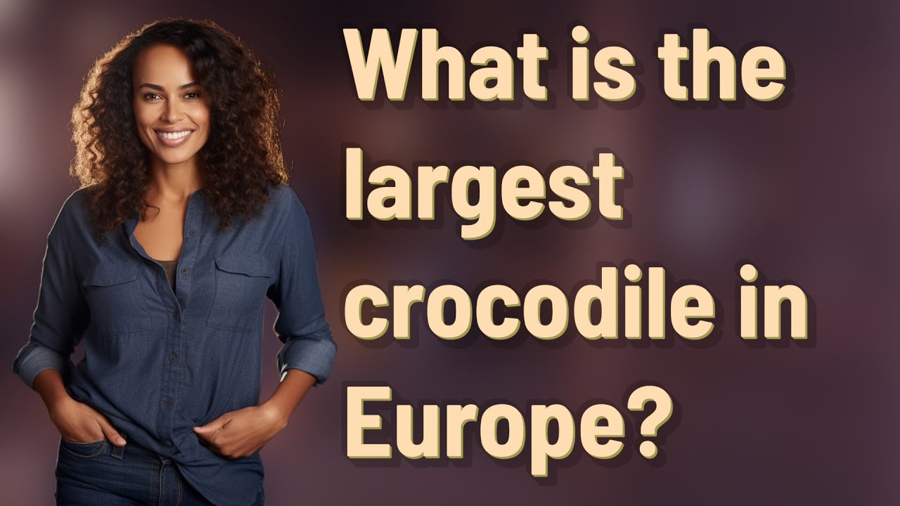 What is the largest crocodile in Europe? - YouTube