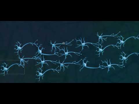 Simulating real neurons... - YouTube