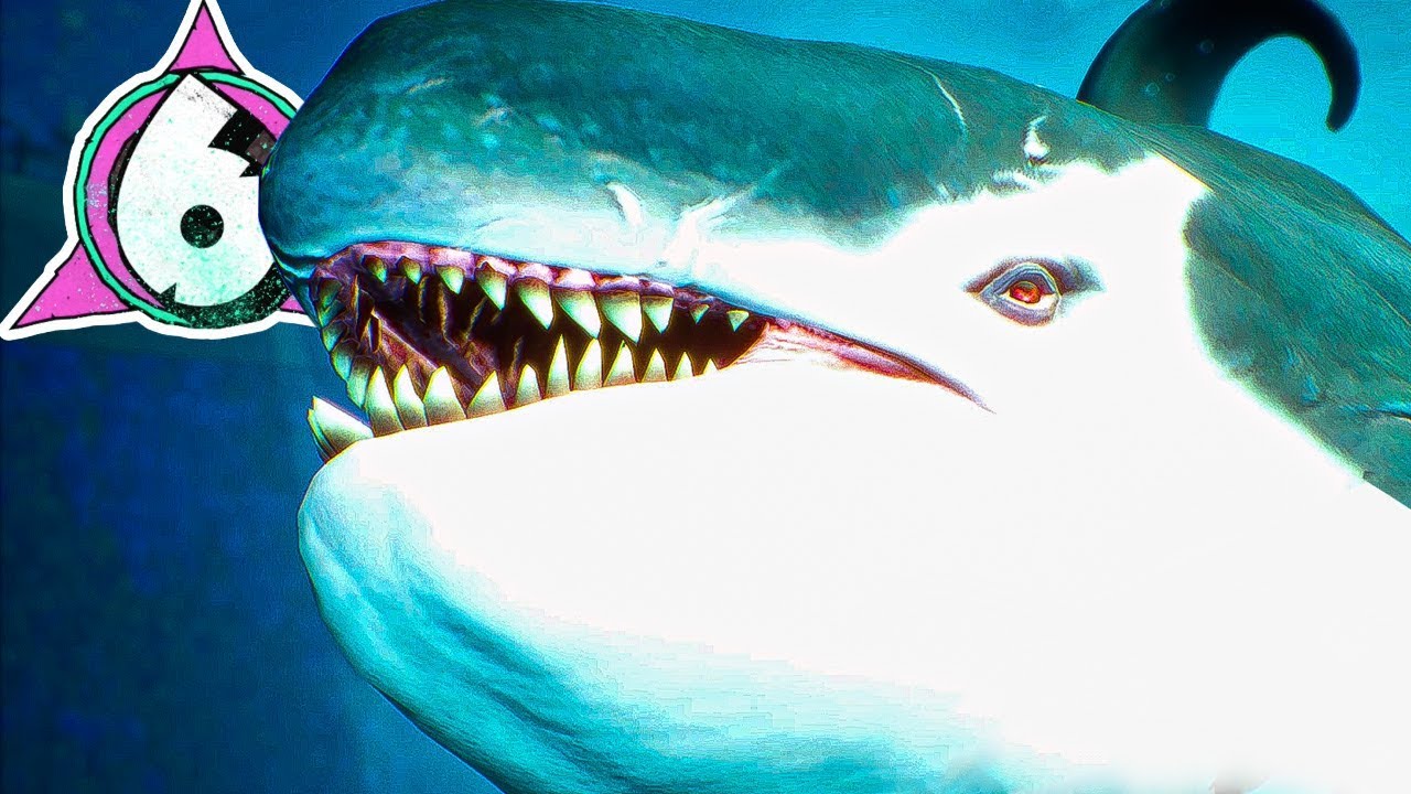 Maneater - ORCA KILLER WHALE BOSS FIGHT! - Part 6 - YouTube