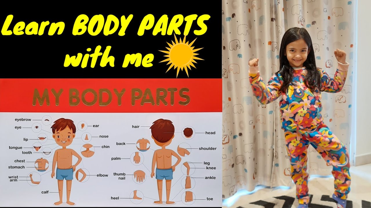 Learn Body parts | My Body | Kids |Preschool |Kindergarten ...