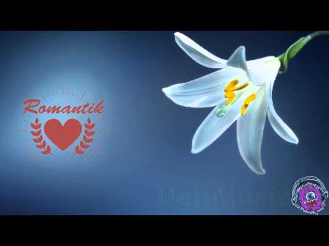 Telifsiz Fon Müzikleri |  Romantik #17