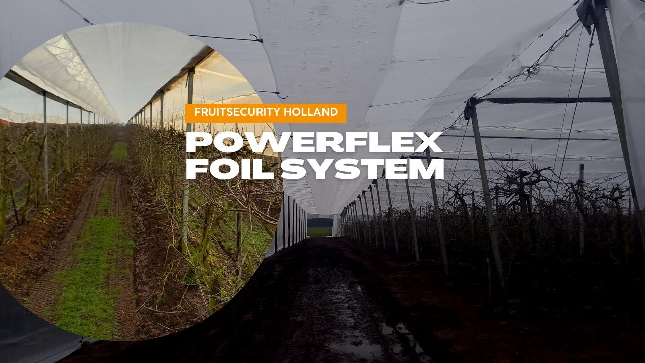 Anti-Rain System (Powerflex) with insectnet and corridor- FRUITSECURITY ...