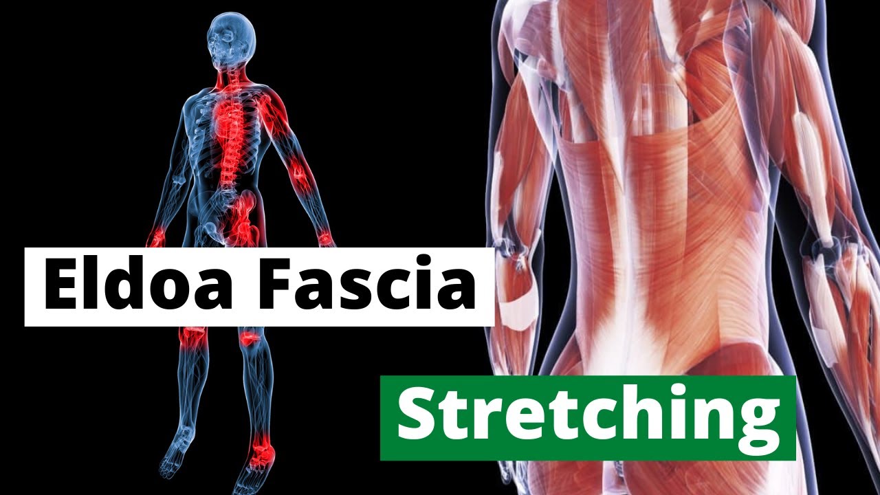 Eldoa Fascia Streching for Sprinter - Flexibility and Pain Relief - YouTube