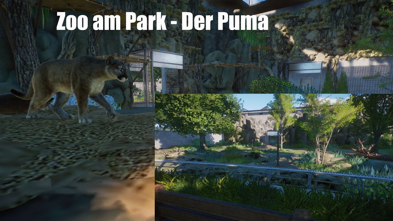 Planet Zoo - Zoo am Park - Der Puma - YouTube