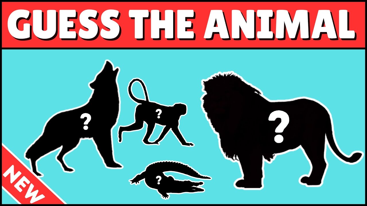 Guess The Animal by Shadow | Guess The Animal Quiz | 🫏🫎 - YouTube