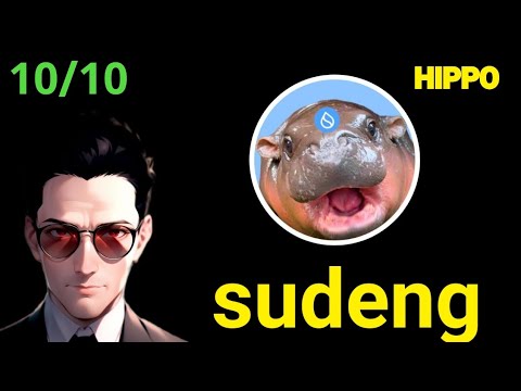 HIPPO 🦛เหรียญ เชนSUIล้อเลียน MOODENG มีวาฬปั่น!? - YouTube