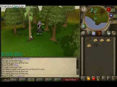 Where to cut eucalyptus trees teaks and achey trees - YouTube