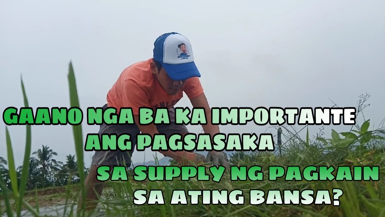GAANO NGA BA KA IMPORTANTE ANG PAGSASAKA SA SUPPLY NG PAGKAIN SA ATING ...