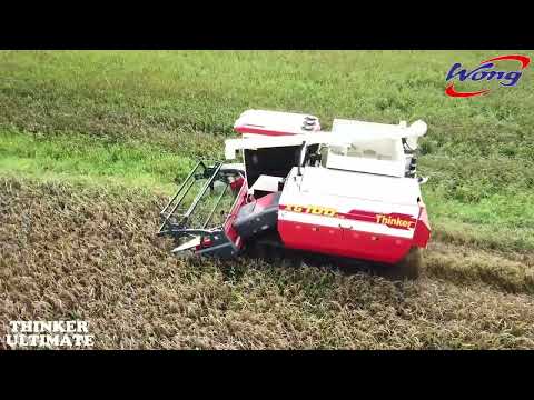 THINKER ULTIMATE (ENDAU JOHOR)