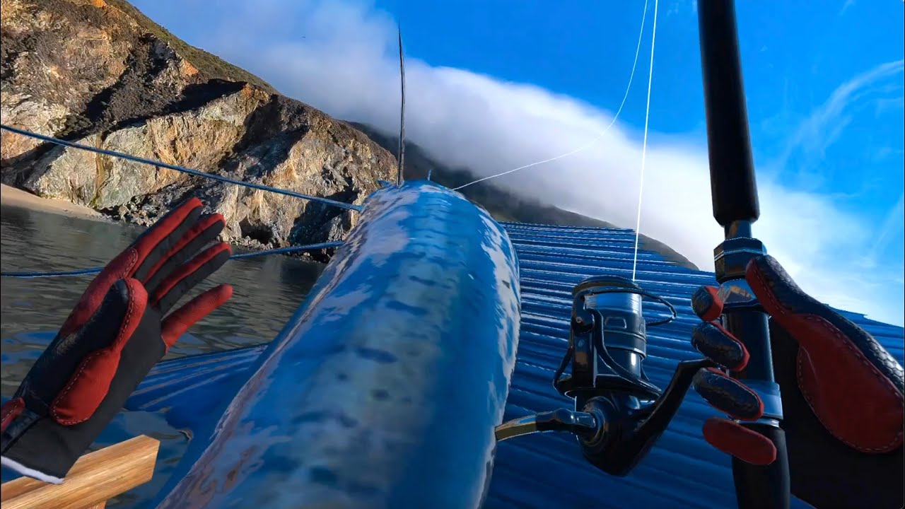 Real VR Fishing. Pacific Sailfish and Great White Shark. Olympia ...
