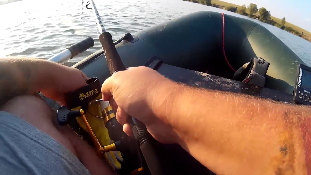 Vertical fishing +++Wild Catfish+++Catch& Release - YouTube