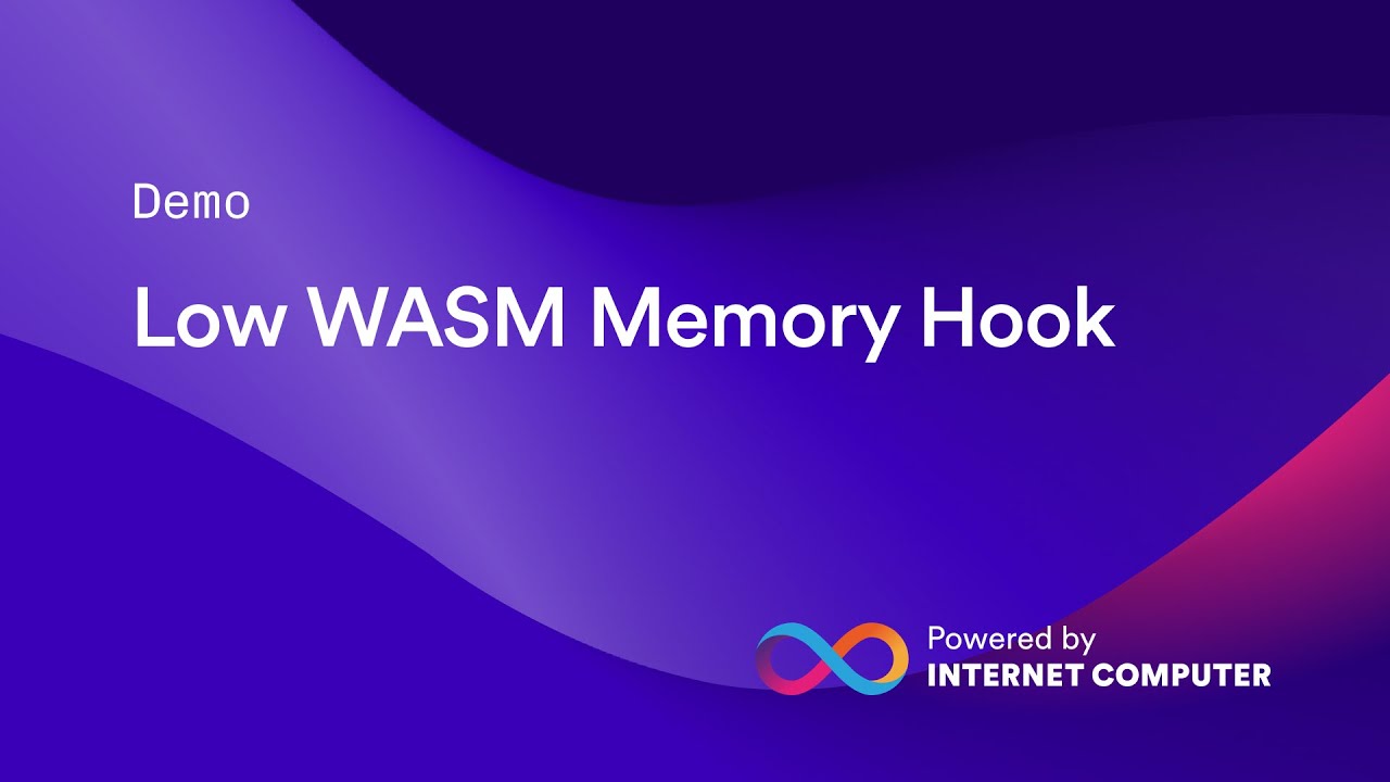 Low WASM Memory Hook Demo: Complete Tutorial - YouTube