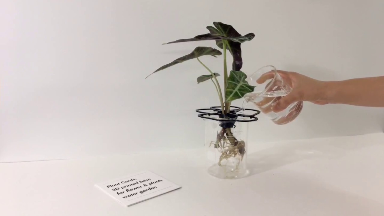 3D printed base for flower & plants water garden - YouTube