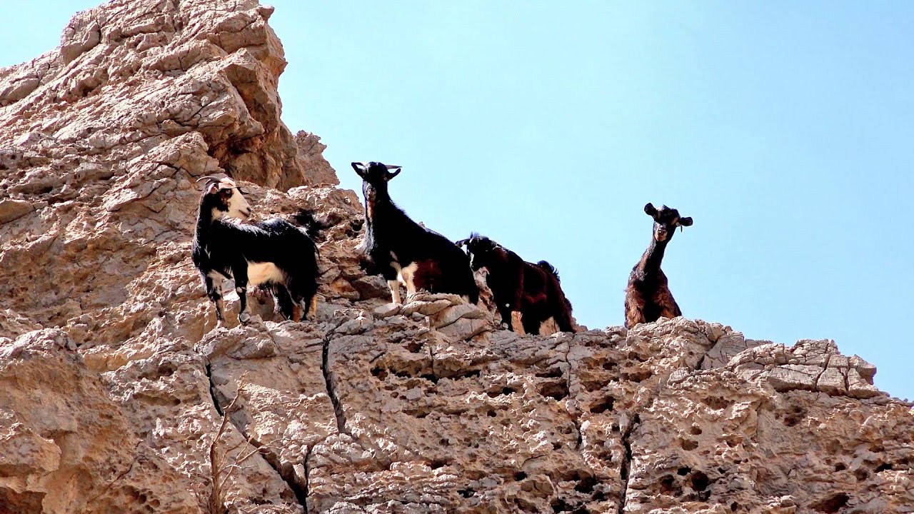 2016 - Jebel Yibir Group Hike, UAE - YouTube