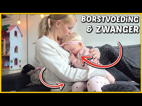ZWANGER & BORSTVOEDiNG GEVEN, KAN DAT WEL? 🤔 | Bellinga Vlog #1922