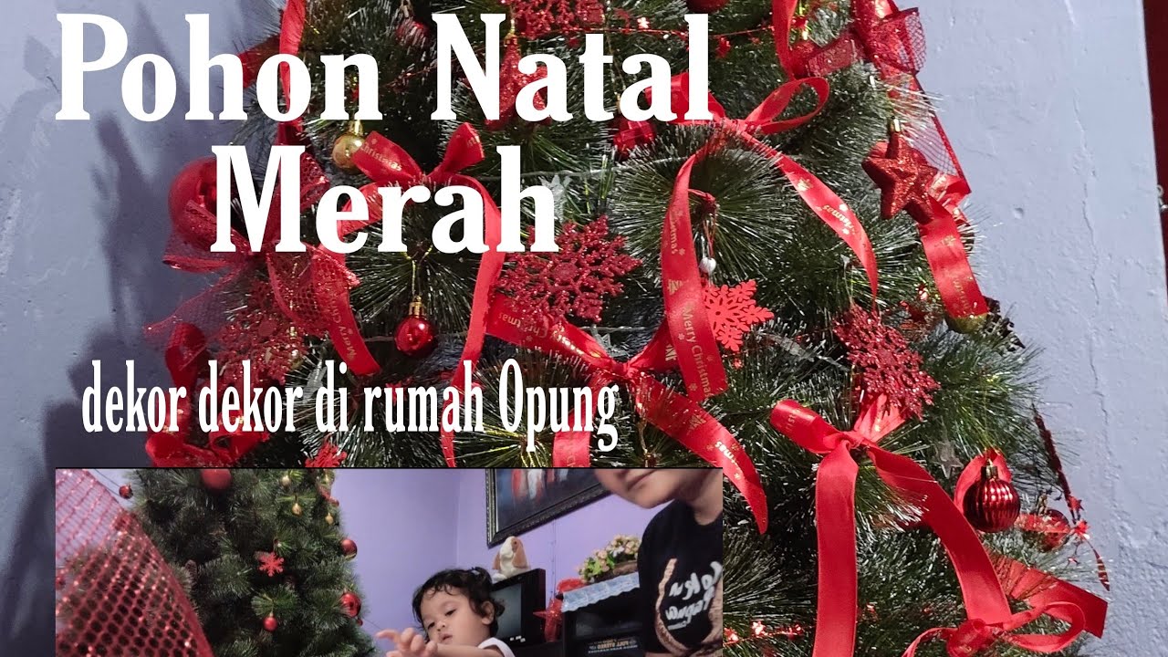 Pohon Natal Merah di Tahun 2021 - YouTube