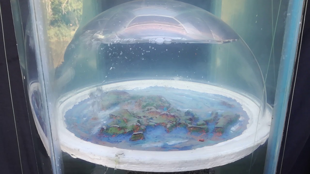 #9 Creation Simulation. Day 2 and 3 - YouTube