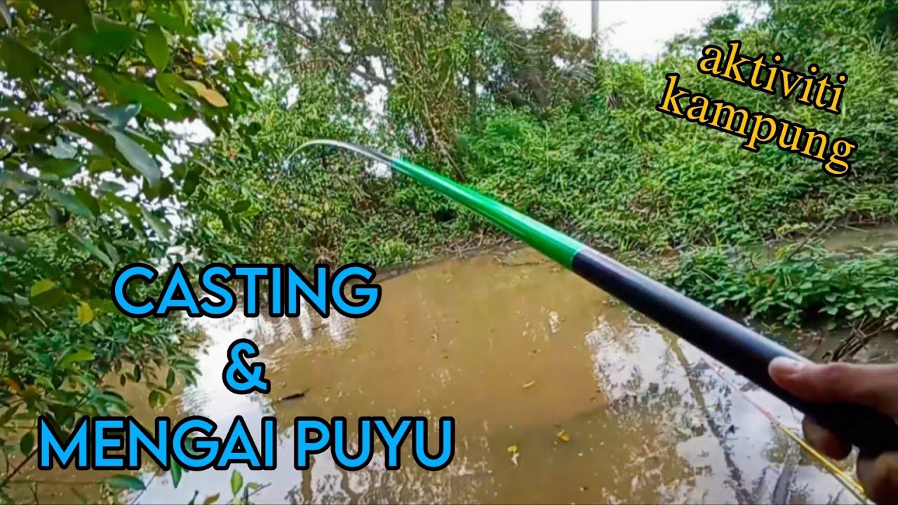 #EP1010 Casting Haruan dan Mancing Puyu - YouTube