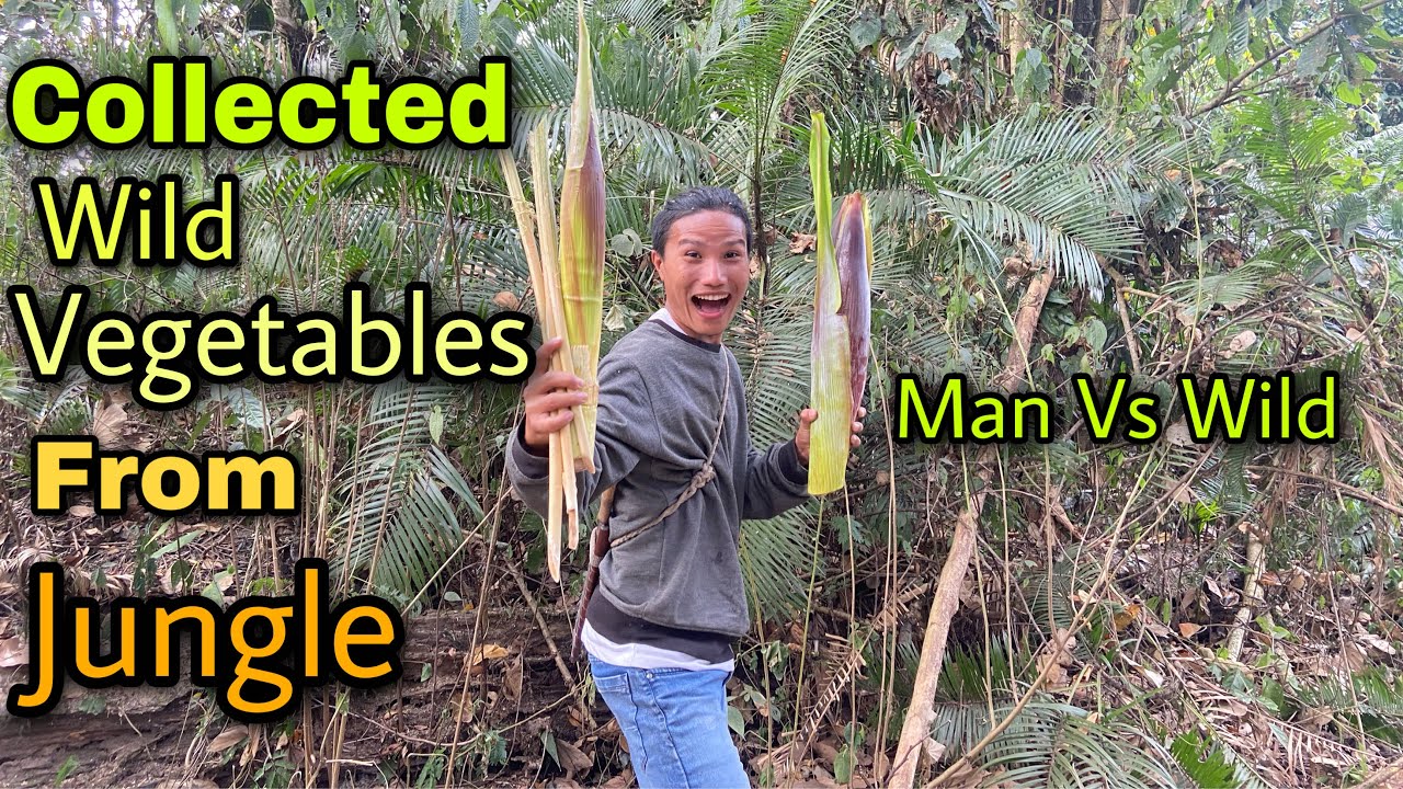 Collected Wild Vegetables From Jungle || Man Vs Wild || Organic ...