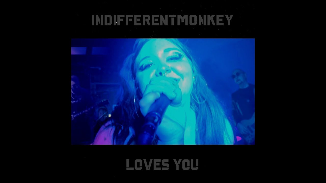 IndifferentMonKeY Live: The Ferret, Preston, The Bedford in Balham ...