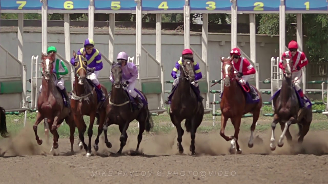 Starting Horse Racing. Slow Motion - YouTube