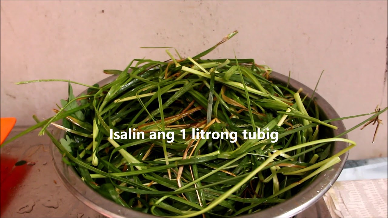 Paragis with Malunggay - Kakaibang Lunas - YouTube