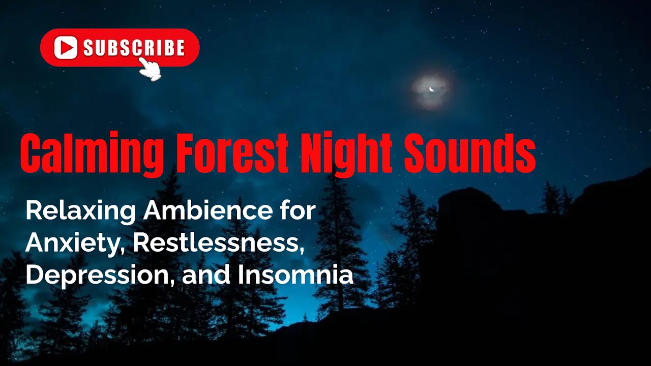 Calming Forest Night Sounds: Relaxing Ambience for Anxiety ...