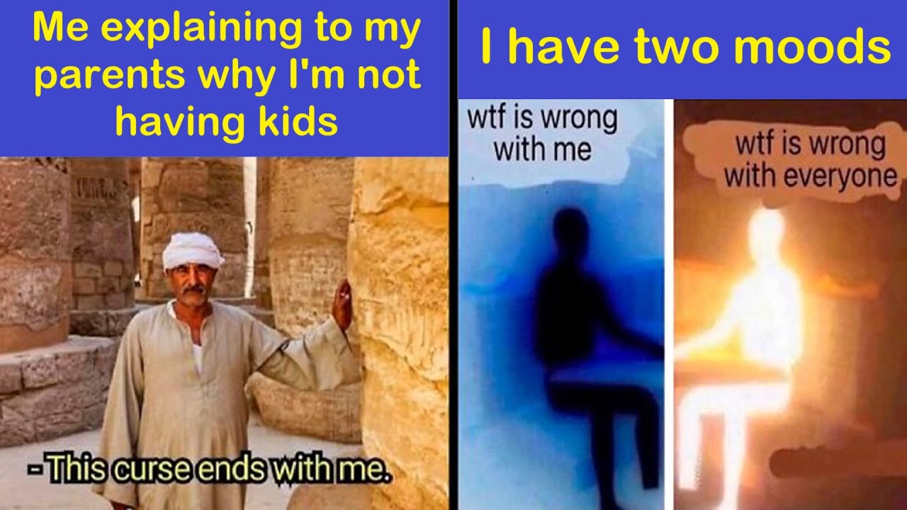 If Chaos Had a Sense of Humor: Memes for the Mentally AFK | Happy And ...