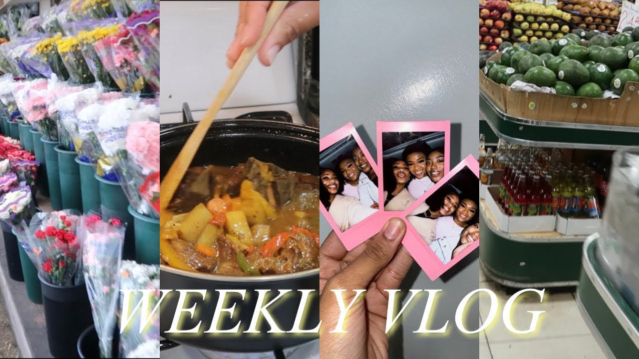 Weekly Vlog: Cooking, New apartment, Childhood Besties, Painting ...