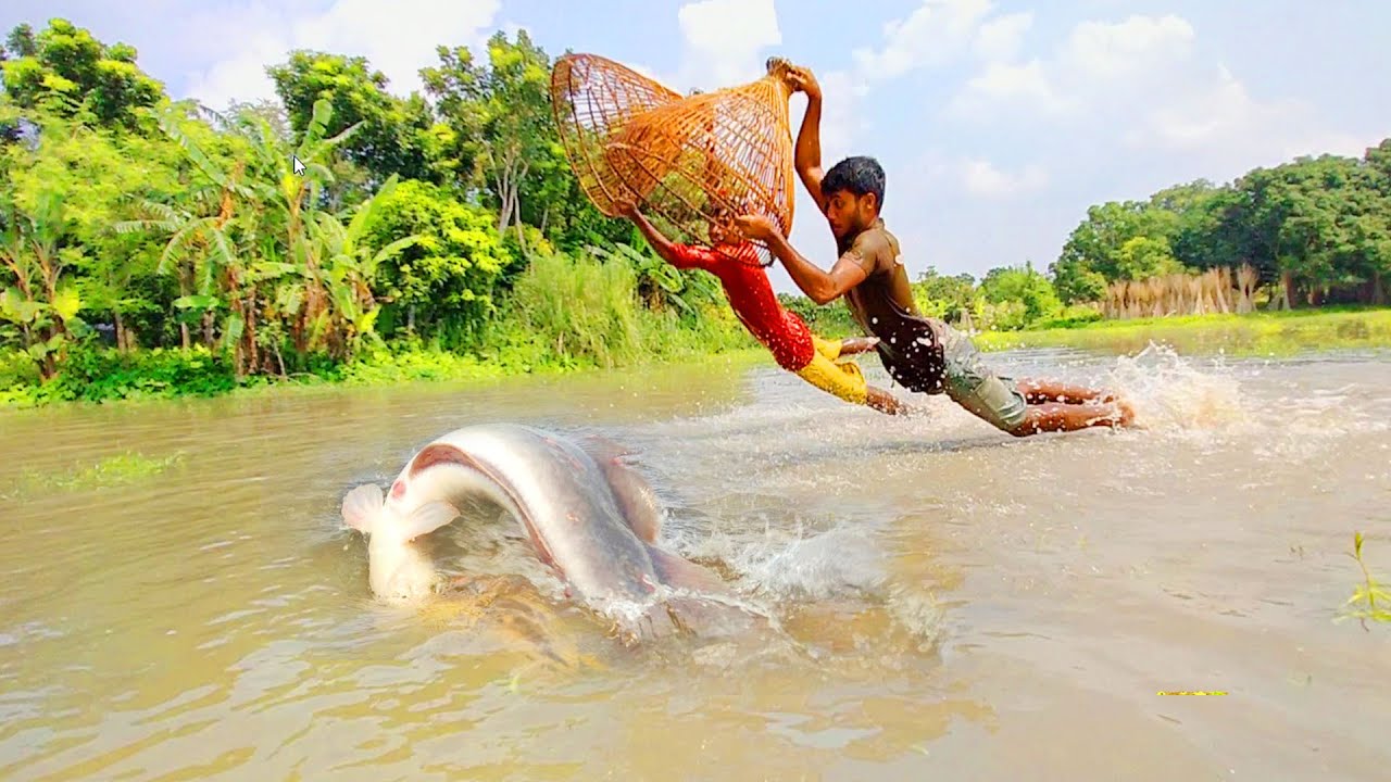 Survival in the Rainforest 2024 | Fishing With Net Catching Big Fish ...