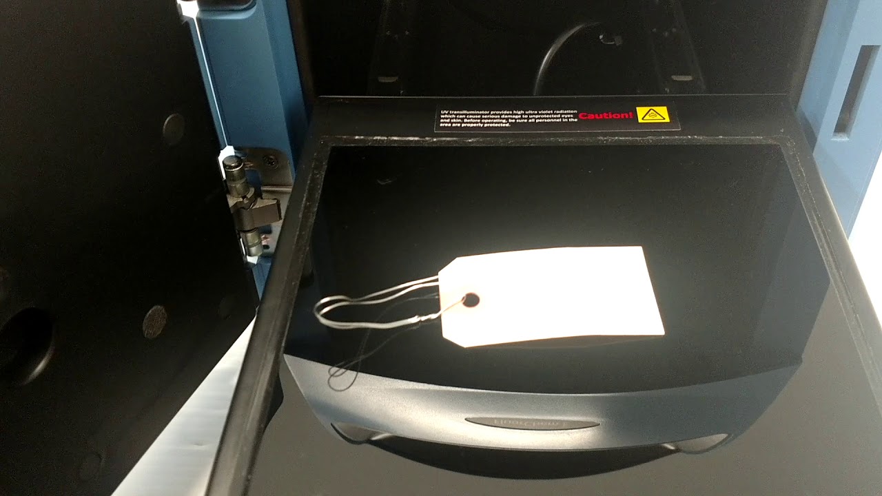 ProteinSimple FluorChem E Imaging System [BOSTONIND] - 13365 - YouTube